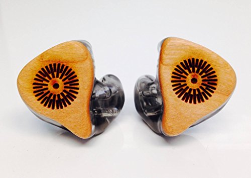 EarTech Music Custom Molded In Ear Musician Monitors Headphones With ...