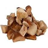 Joseph's Gourmet Pasta Porcini Mushroom Sacchetti 3 lb (Pack of 2 ...