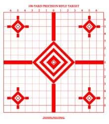 100-Yard Precision Rifle Target (100), Targets - Amazon Canada