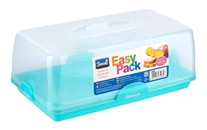 Easy Pack Large Plastic Rectangle Cake Storage Container: Amazon.co.uk ...