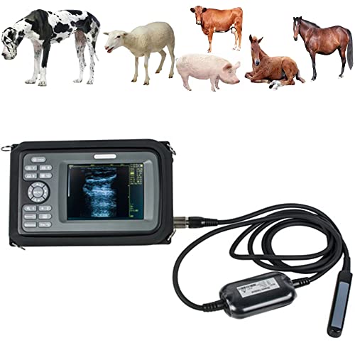 Colilove Veterinary Ultrasound Scanner Handheld Digital Ultrasound ...