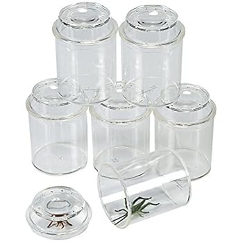 Amazon.com: Coopay 20 Pieces Bug Viewer Critter Insect Cage Magnifying ...