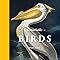 Remarkable Birds Avery Mark 9780500518533 Amazon Books