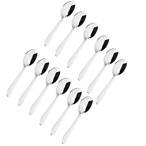 SLNDOKTG Stainless Steel Spice Box Spoons Set of 12 (Silver) | Pricepulse