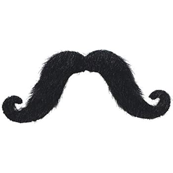 Amazon.com: 12 Fake Moustaches - Assorted Shapes and Sizes! Costume Fun ...