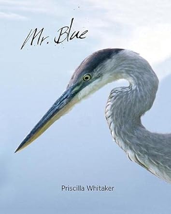 Book review of Mr. Blue - Readers' Favorite: Book Reviews and Award Contest