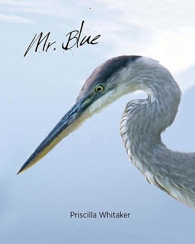 Book review of Mr. Blue - Readers' Favorite: Book Reviews and Award Contest