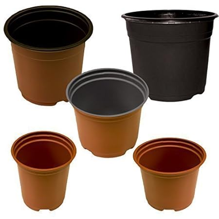 Elixir Gardens ® Quality Thermoformed Black/Terracotta Plastic Plant ...