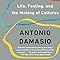 The Strange Order of Things: Life, Feeling, and the Making of Cultures ...
