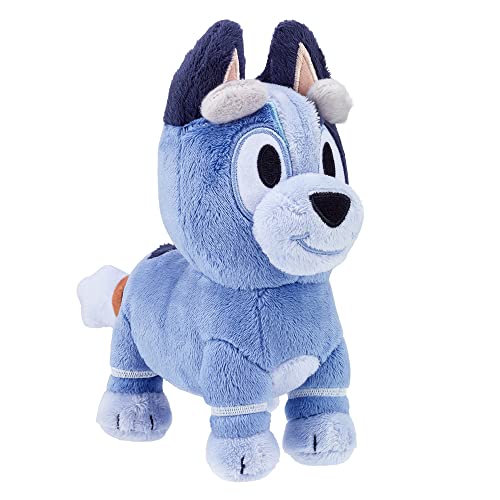 Bluey Plush Socks Bluey Friends New Character 2021 Toddler Kids in ...