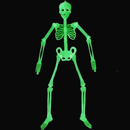 CoolLife Halloween Props Luminous Skeleton Glow In The Dark Hanging ...