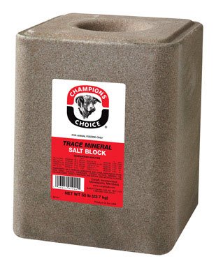 Amazon.com: Champions Choice Trace Mineral Salt Block 50 Lb.: Health ...