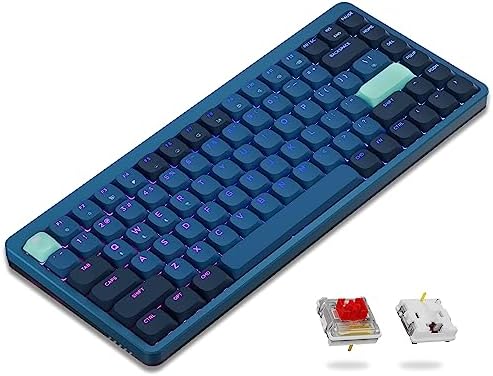 سعر COSTOM XVX L75 Wireless Mechanical Keyboard, Bluetooth/2.4Ghz/Wired ...