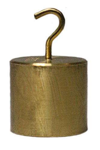 100 Gram Single Hooked Brass Mass - Calibration Weight: Science Lab ...