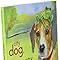City Dog, Country Frog: Willems, Mo, Muth, Jon J: 9781423103004: Amazon ...