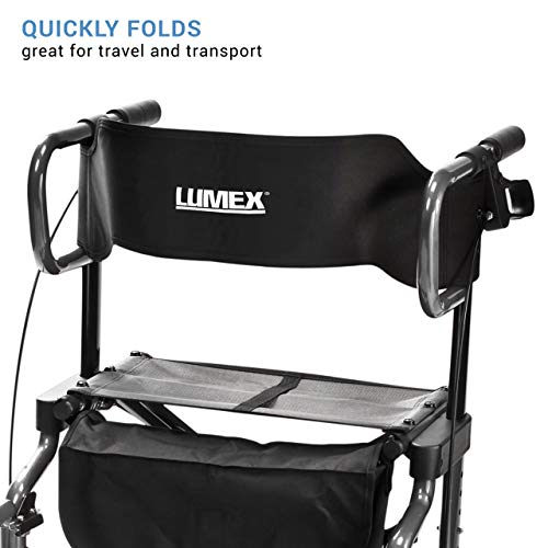 Lumex HybridLX 2-in-1 Rollator Walker & Transport Wheelchair, Large 6 ...