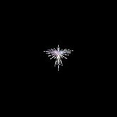 Amazon.com: Lux Prima: CDs & Vinyl
