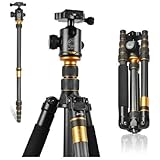 Giottos Vitruvian VGR9255+MH5310-630 Aluminium Tripod: Amazon.co.uk ...