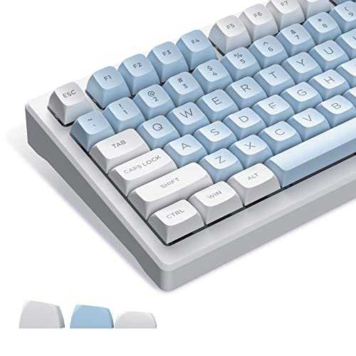 XVX keycaps 60 Percent - Custom PBT Keycaps, 169 Keys Double Shot ...