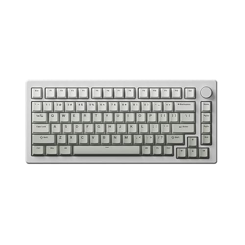 Akko PBT Keycaps Cool Gray Gradient Theme 132-Key Cherry Profile Double ...