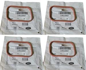 Amazon.com: Genuine LAND ROVER INTAKE MANIFOLD GASKET SET OF 4 2.0L 16V ...