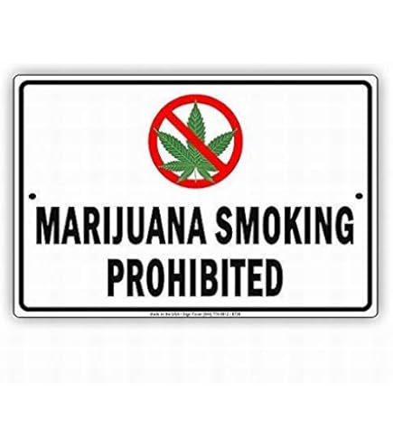No Smoking Weed No One Should Go To Jail For Smoking Marijuana: Kamala