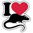 Amazon.com: KW Vinyl I Love Rats Truck Car Window Bumper Sticker Decal ...