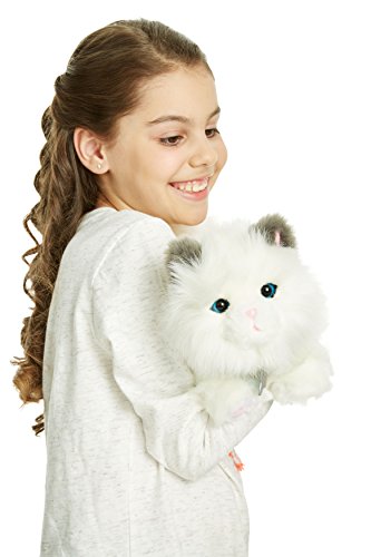 Little-Live-Pets-Cuddles-My-Dream-Kitten - ToyMamaShop