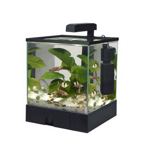 Fish R Fun 17L Black Aqua Box Aquarium: Amazon.co.uk: Pet Supplies