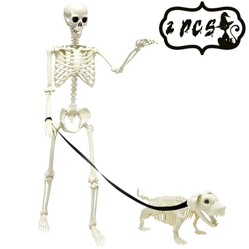 DINESIL 5.4ft/165cm Halloween Skeleton, Life Size Posable Skeleton with ...