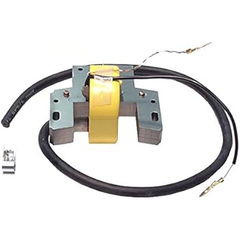 Amazon.com: TEW Inc. Ignition Coil For Briggs & Stratton 392329 394891 ...