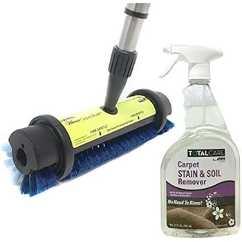 Amazon.com: Shaw R2X Carpet Stain & Soil Remover 32 Ounces Spray: Home ...