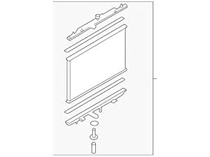 Amazon.com: Nissan 21400-JM00A Radiator Assembly: Automotive