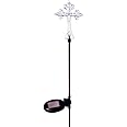 Amazon.com : Solar Cross Light : Plant Growing Light Bulbs : Patio ...