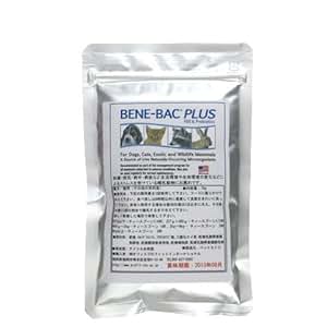 Amazon.com : Bene-Bac® Cat Gel 4 Pack - Four 1g tubes : Pet Probiotic ...