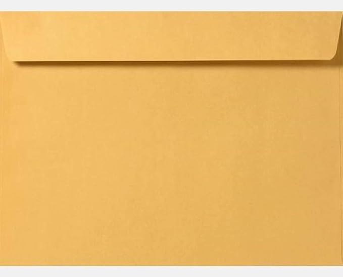 Amazon.com : Limited Papers (TM) Booklet Envelopes, Brown Kraft, Gummed ...