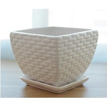 Amazon.com : Ceramic Pure White Home/ Garden Flower Planter Pot with ...