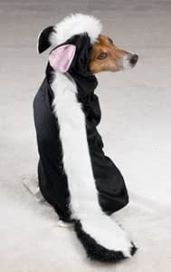 Amazon.com : Little Stinker Dog Pet Halloween Costume Small : Pet ...