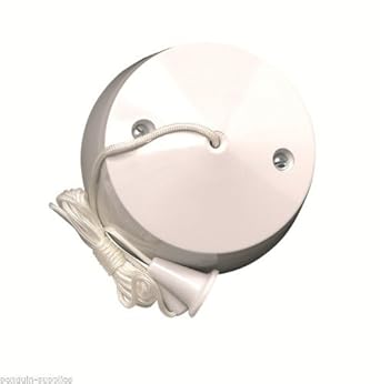 10 AMP X RATED 1 WAY WHITE CEILING PULL CORD LIGHT SWITCH LG1730: Amazon.co.uk: Lighting