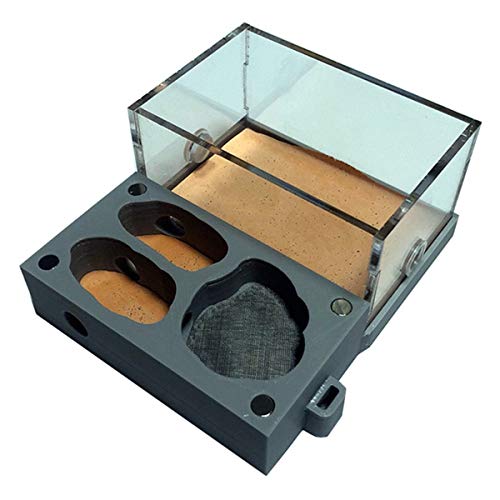 Mua MTFZD Ant Farm Concrete Ant Nest Ant Housing Insect Cage Farm ...