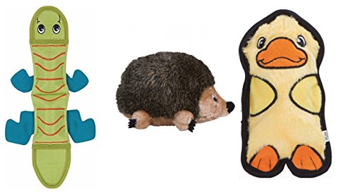 Outward Hound Invincibles Dog Toy Set of 3