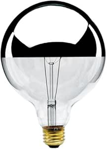 Amazon.com: Bulbrite 100G40HM Half Chrome 100W Globe Shape Bulb : Everything Else