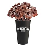 A Dozen Beef Jerky Roses