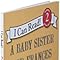 Amazon.com: A Baby Sister for Frances (I Can Read Level 2 ...