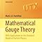 Mathematical Gauge Theory: With Applications to the Standard Model of ...