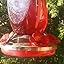 Amazon.com : Stokes Select Ruby Prism Hummingbird Feeder with Four ...