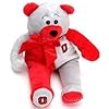 Mascots Galore Ohio State Buckeyes Plush Bean Bag Bear in Kuwait | Whizz