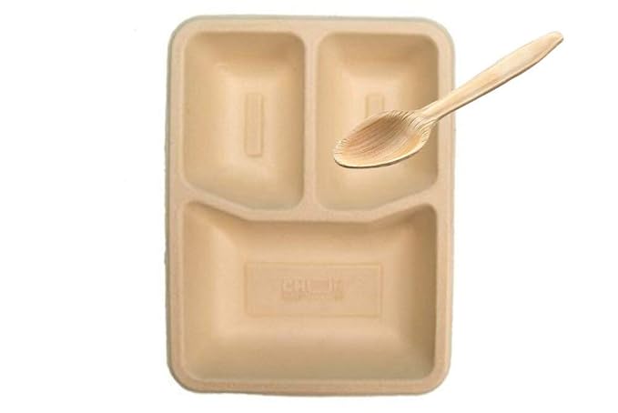 Buy SMS HYDROTECH Disposable Plates 10 inch with Wooden Disposable ...