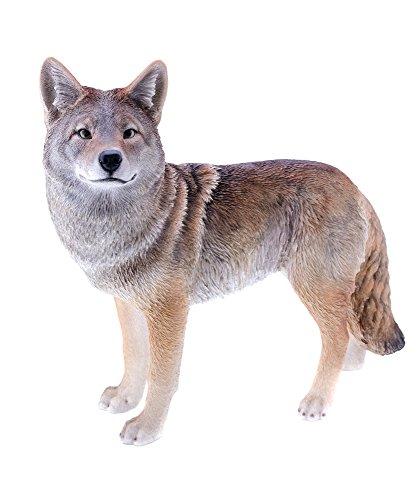 Hi-Line Gift Ltd Coyote Garden Statue for sale | Phoenix, AZ | Nellis ...