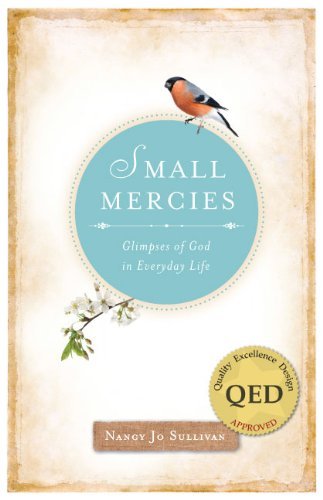 Small Mercies: Glimpses of God in Everyday Life: Sullivan, Nancy Jo ...
